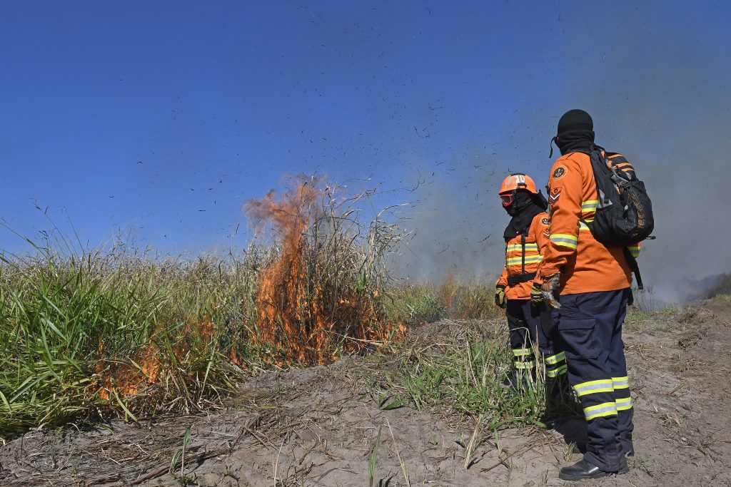 Ação integrada e treinamento contribuem para prevenção de incêndios ...